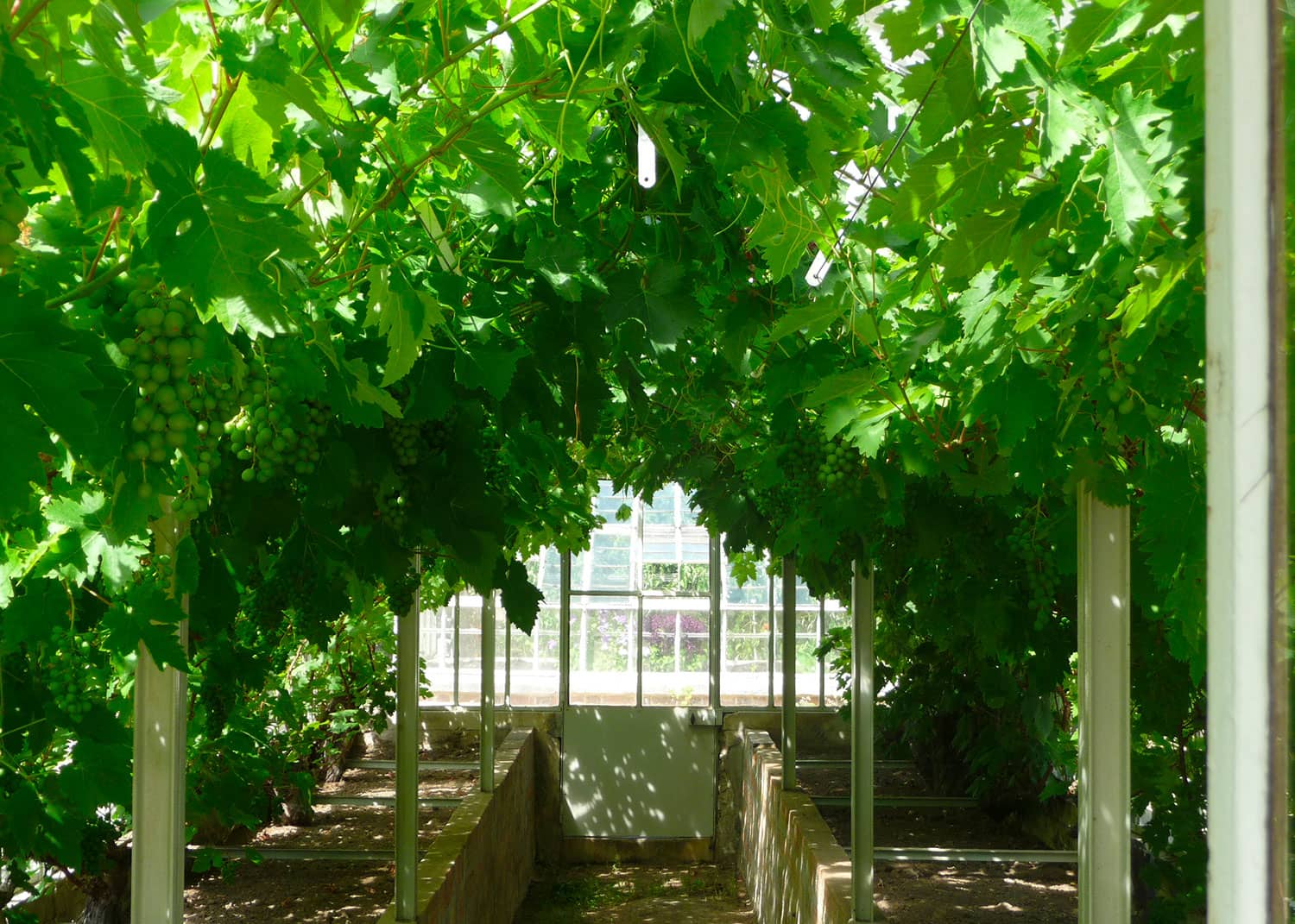 Le potager fleuri à la française de Saint Jean de Beauregard - Les Plus ...